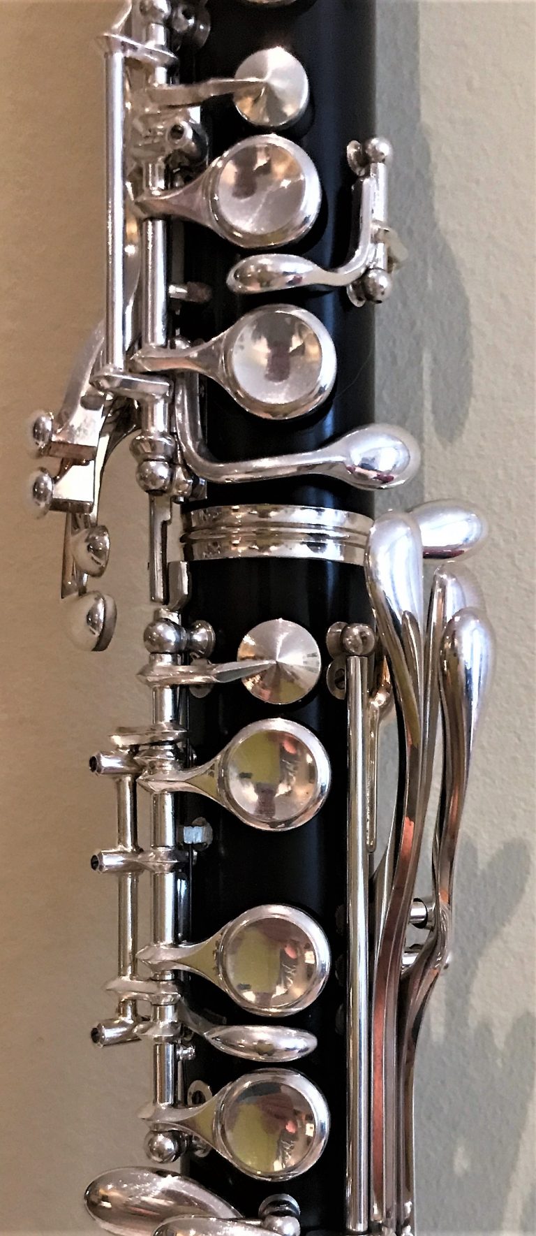 Accommodating Learning Differences in the Clarinet Studio ...