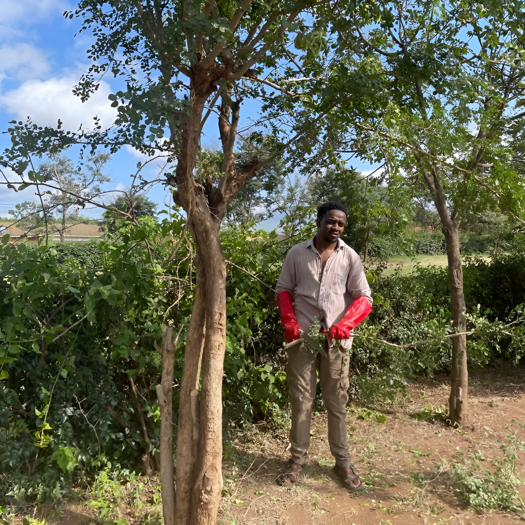 MPINGO: A CLOSER LOOK – International Clarinet Association